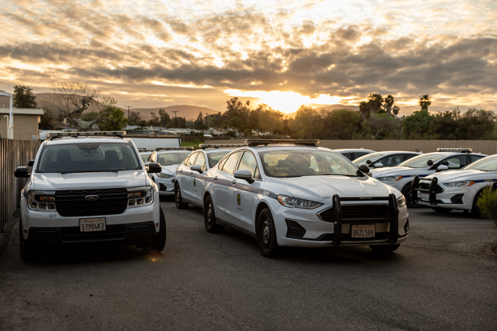 Home - City Wide Protection Services