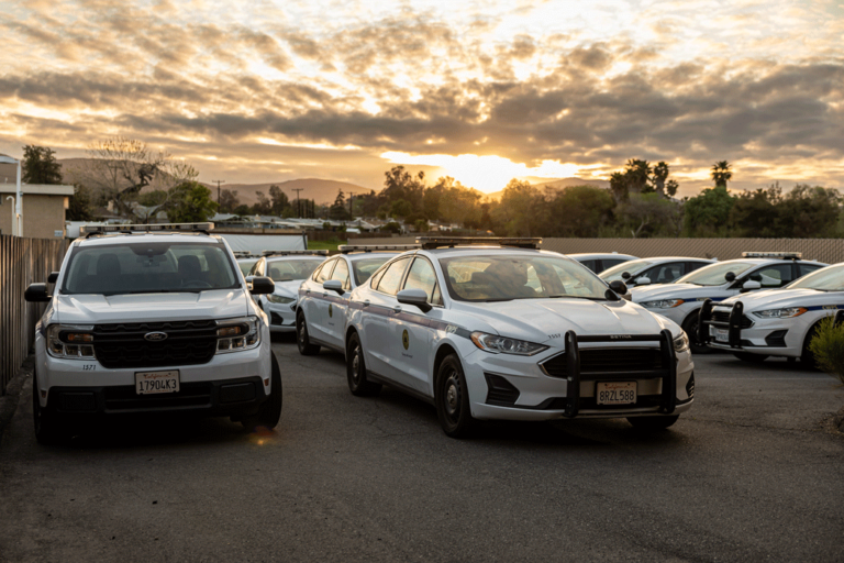 Home - City Wide Protection Services